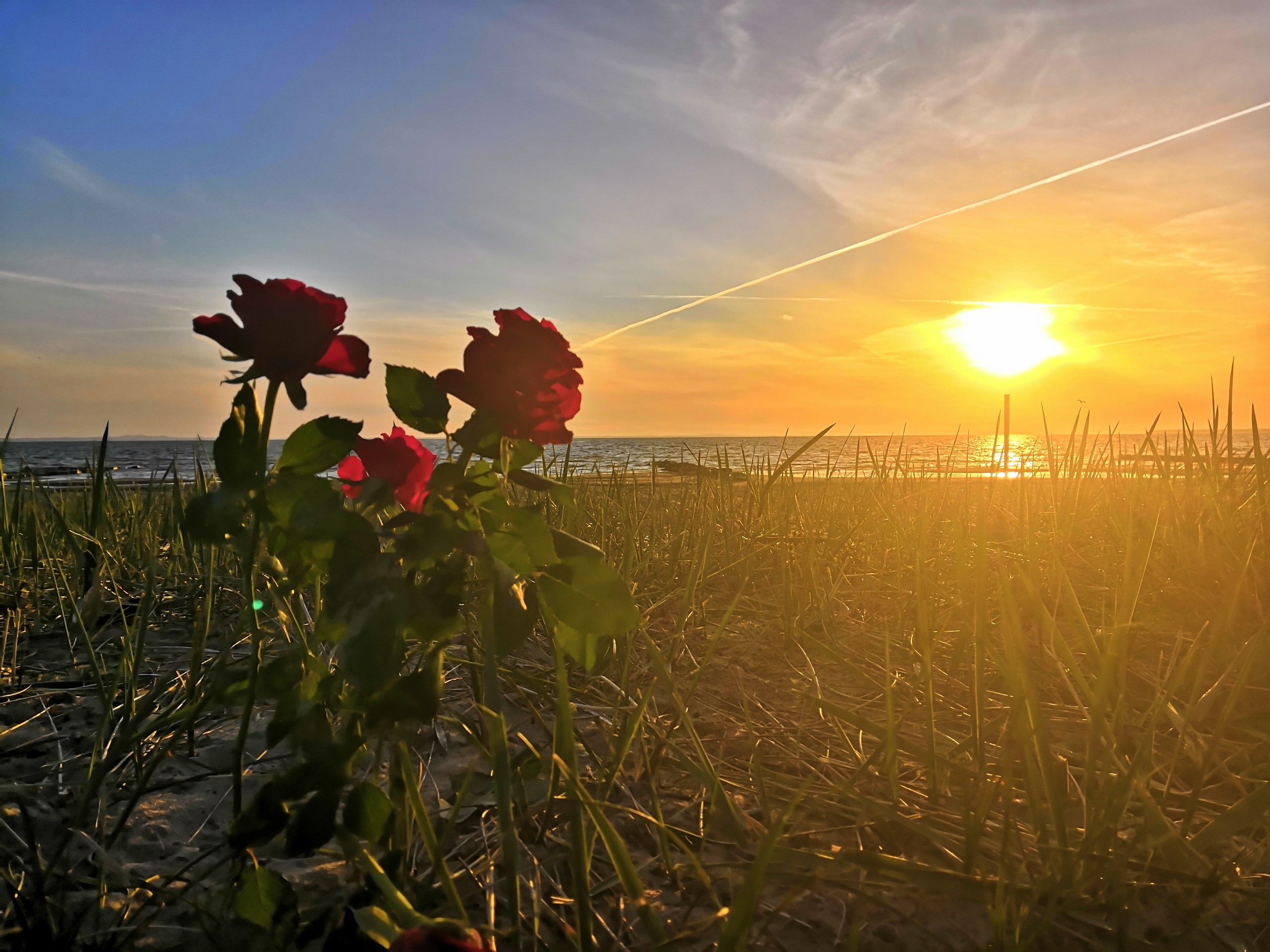 Predigt für die den 3. Sonntag in der Passionszeit, Okuli - Berichte ...